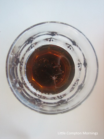 Little Compton Mornings: Maple Syrup: Thrill of the Thaw